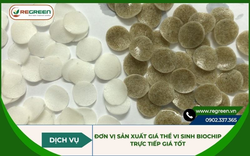 Đơn vị sản xuất giá thể vi sinh Biochip trực tiếp giá tốt